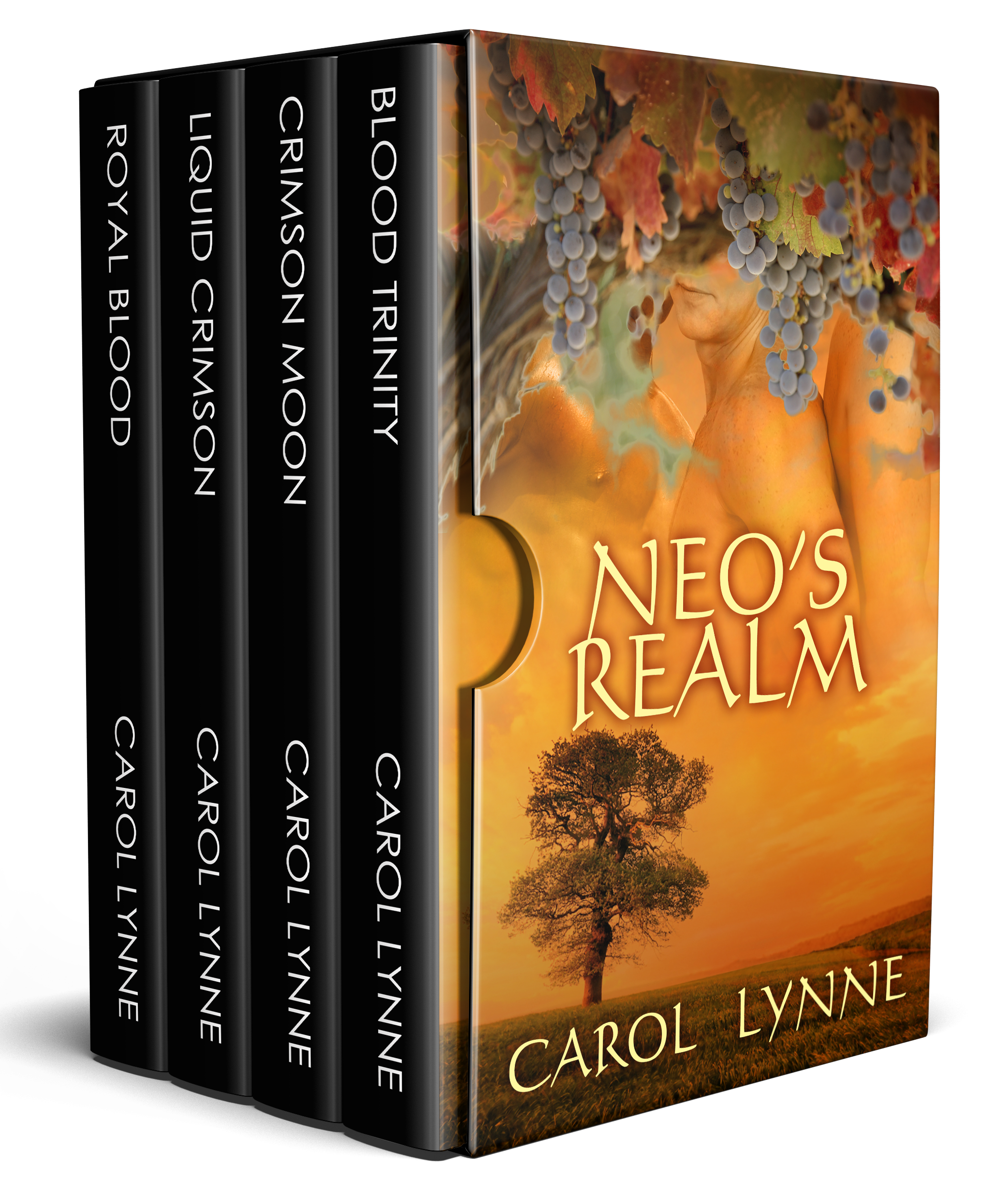 Neo's Realm: A Box Set